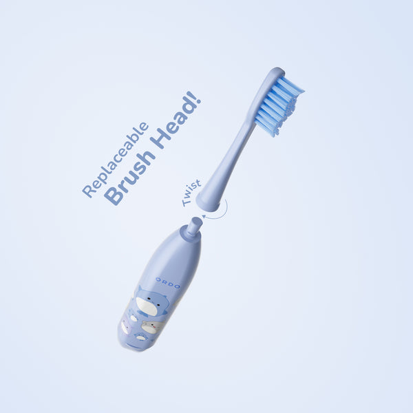 Ordo Sonic Kids Battery Toothbrush - Squishmallows Samir – Ordo Global